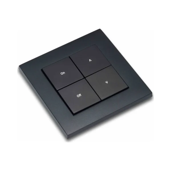 Rako Wired Modular Control Module - WK-MOD-020 - Black